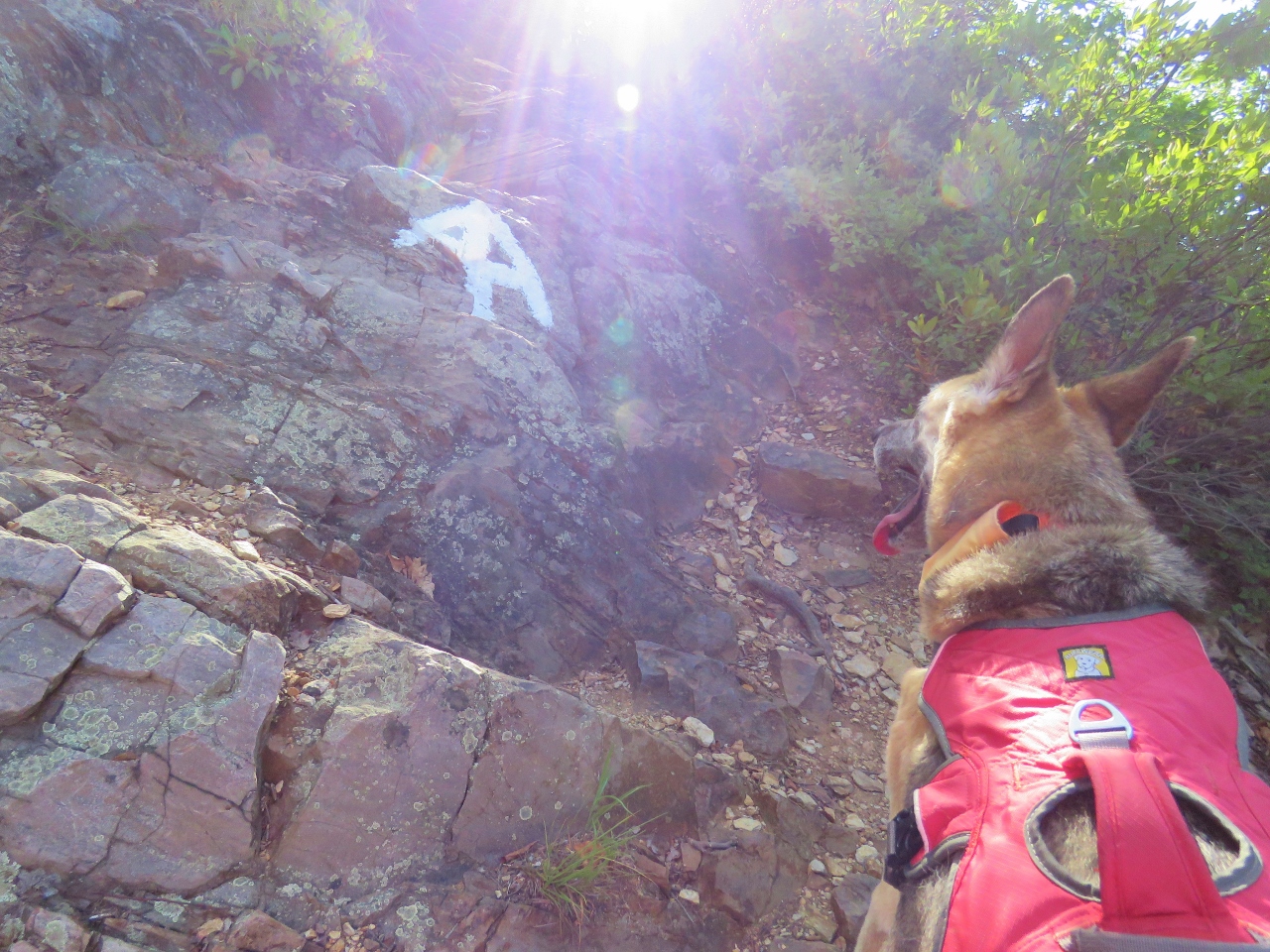 Gone Hikin': Fahnestock State Park, NY - Canopus Lake