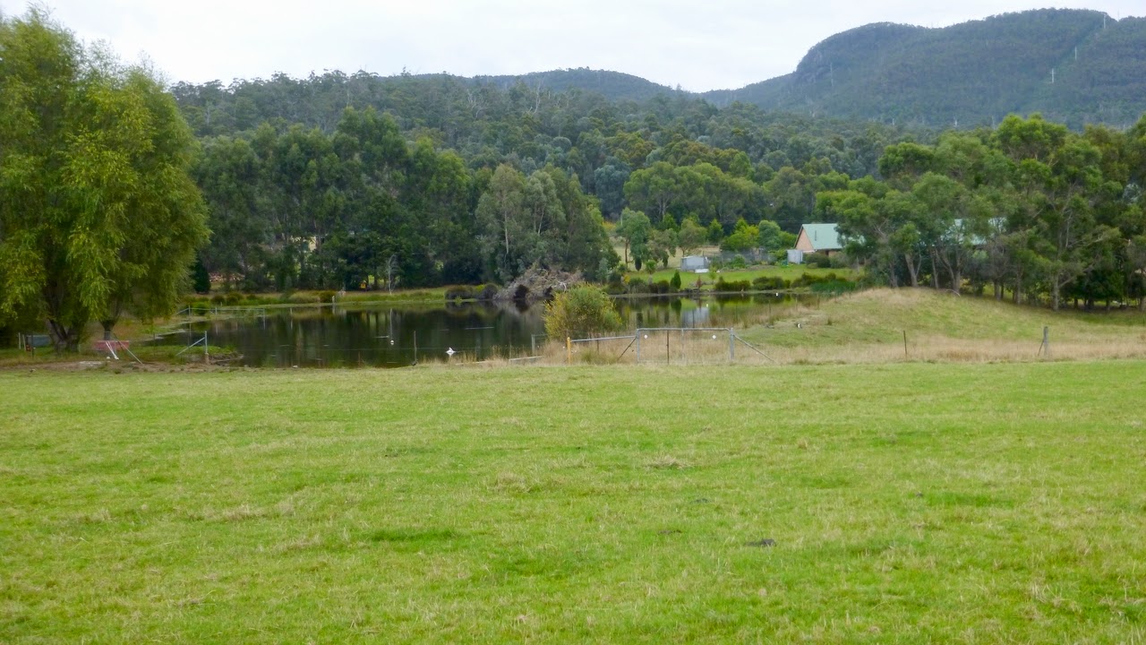 Ramblings: Nierinna Creek – Tramway Hill – Margate Rivulet