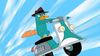 Images of Perry the Platypus