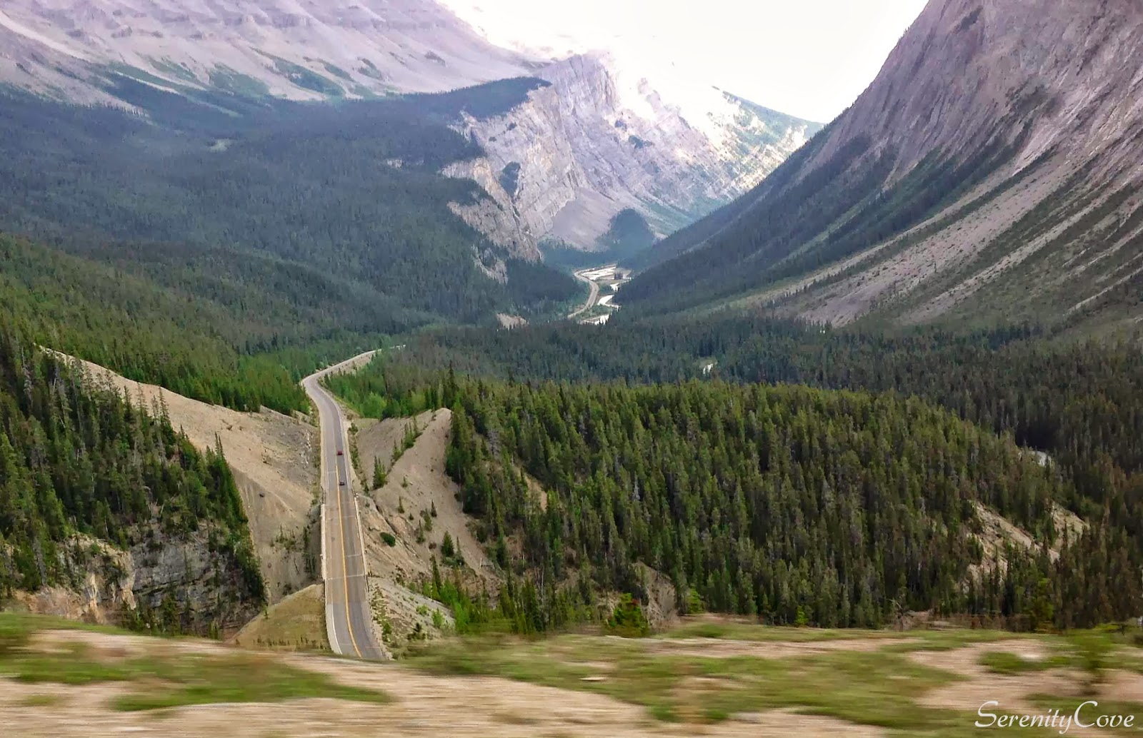 Serenity Cove: Icefields Parkway