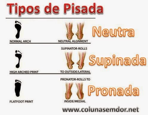 PROF. ANDRÉ FERNANDES: TIPOS DE PISADA - BIOMECÂNICA DO TORNOZELO