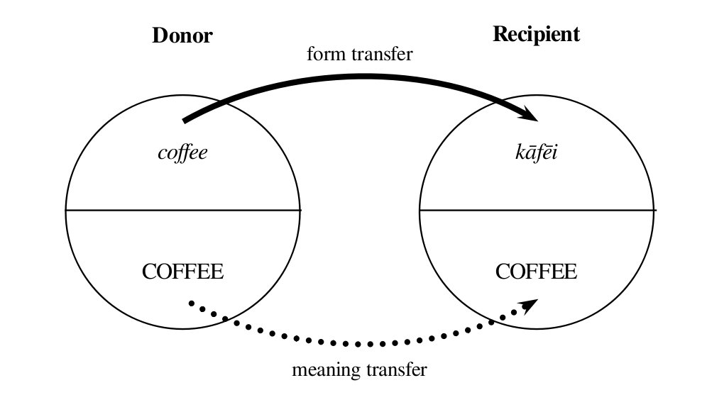 The Genealogical World of Phylogenetic Networks: Models and processes ...