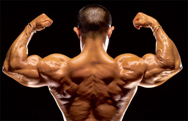 Good muscle Building