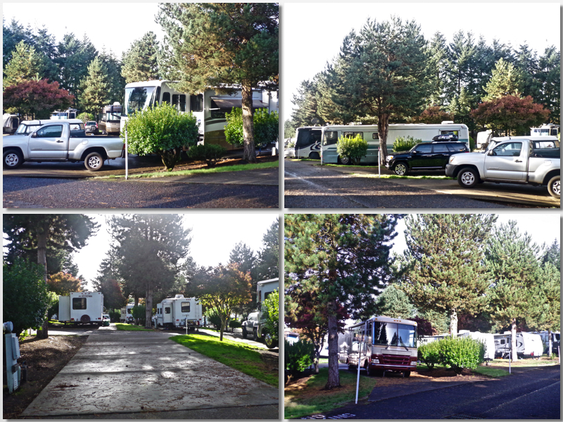 Champagne Wishes and RV Dreams: CAMPGROUNDS