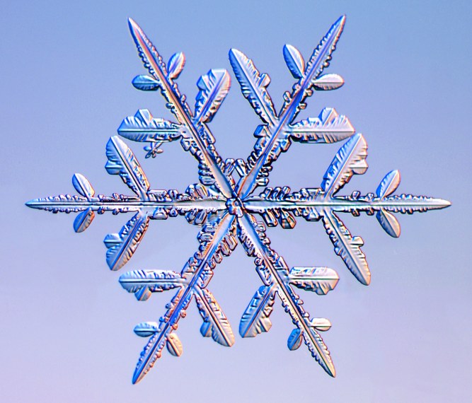 Heraldry of Life: ART with REAL SNOWFLAKES