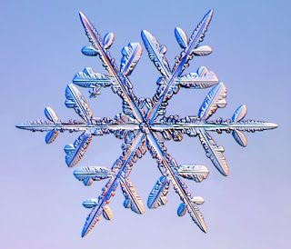 Heraldry of Life: ART with REAL SNOWFLAKES