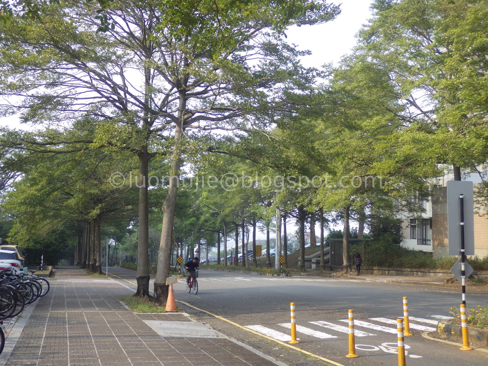 Meteor Garden (流星花園) real-life university - National Chung Cheng ...