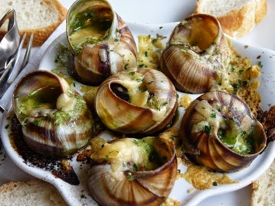 Retete - Cresterea melcilor, ferma de melci