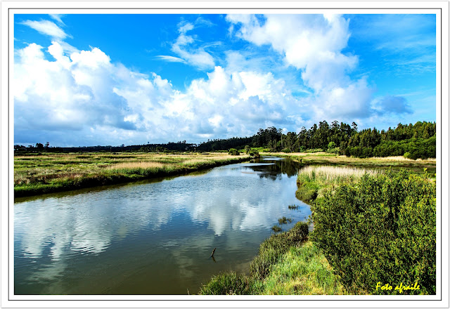 Mi Album de Fotos: VAGOS (Portugal).