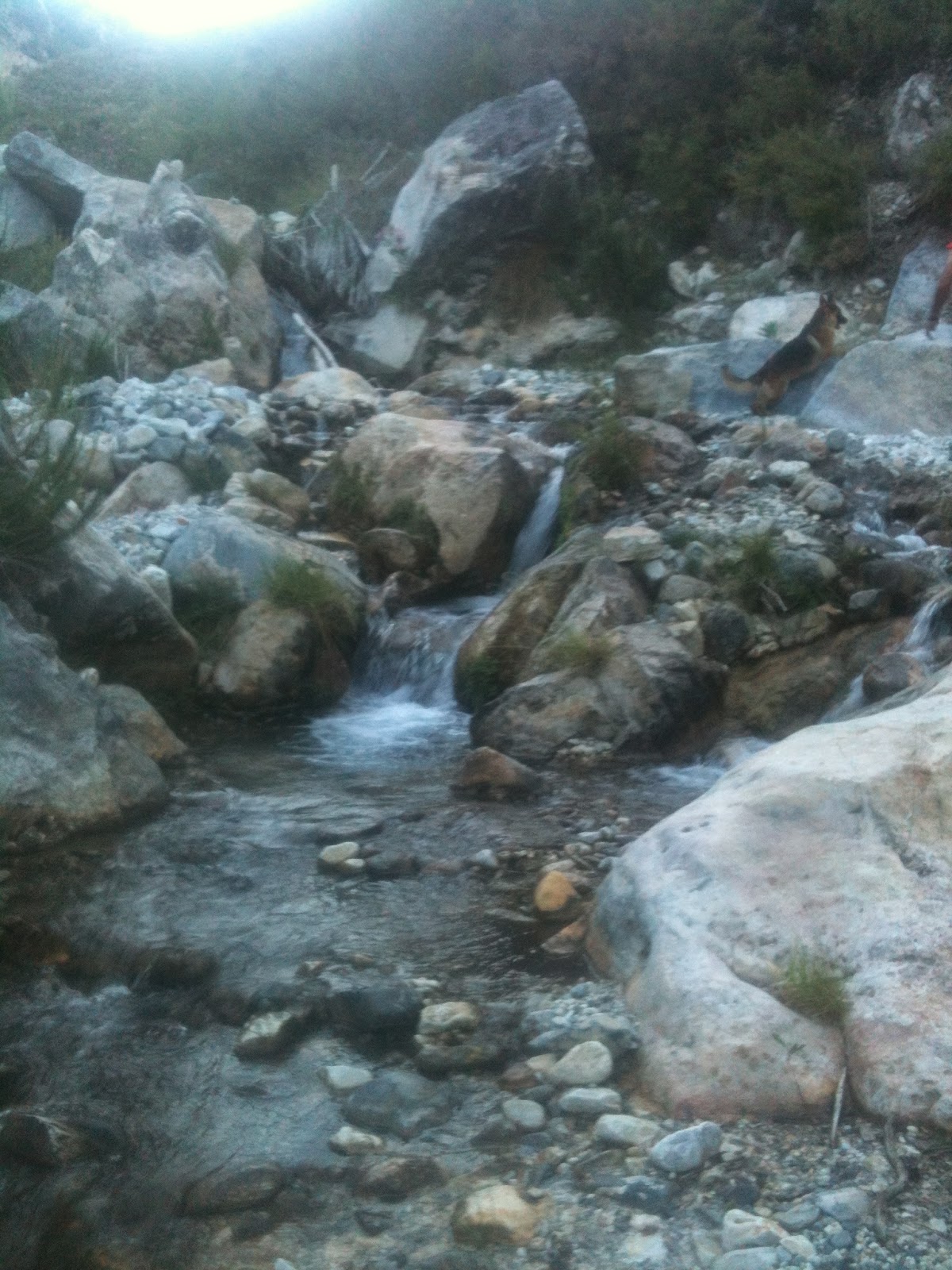 ZAPAS VOLADORAS: SUBIDA AL PICO ALMENDRON
