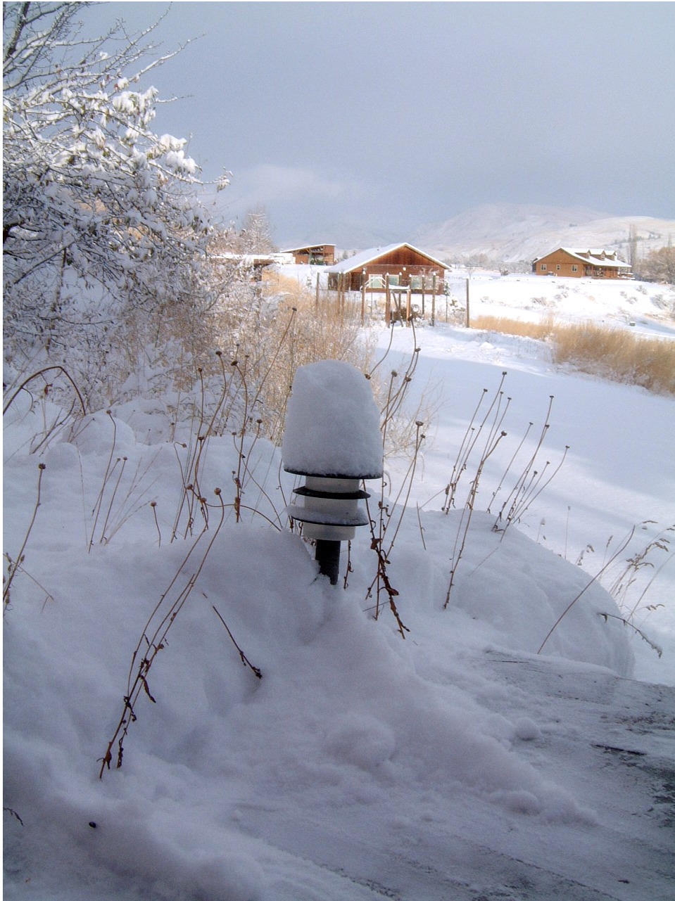 Hope in the Heart of Darkness