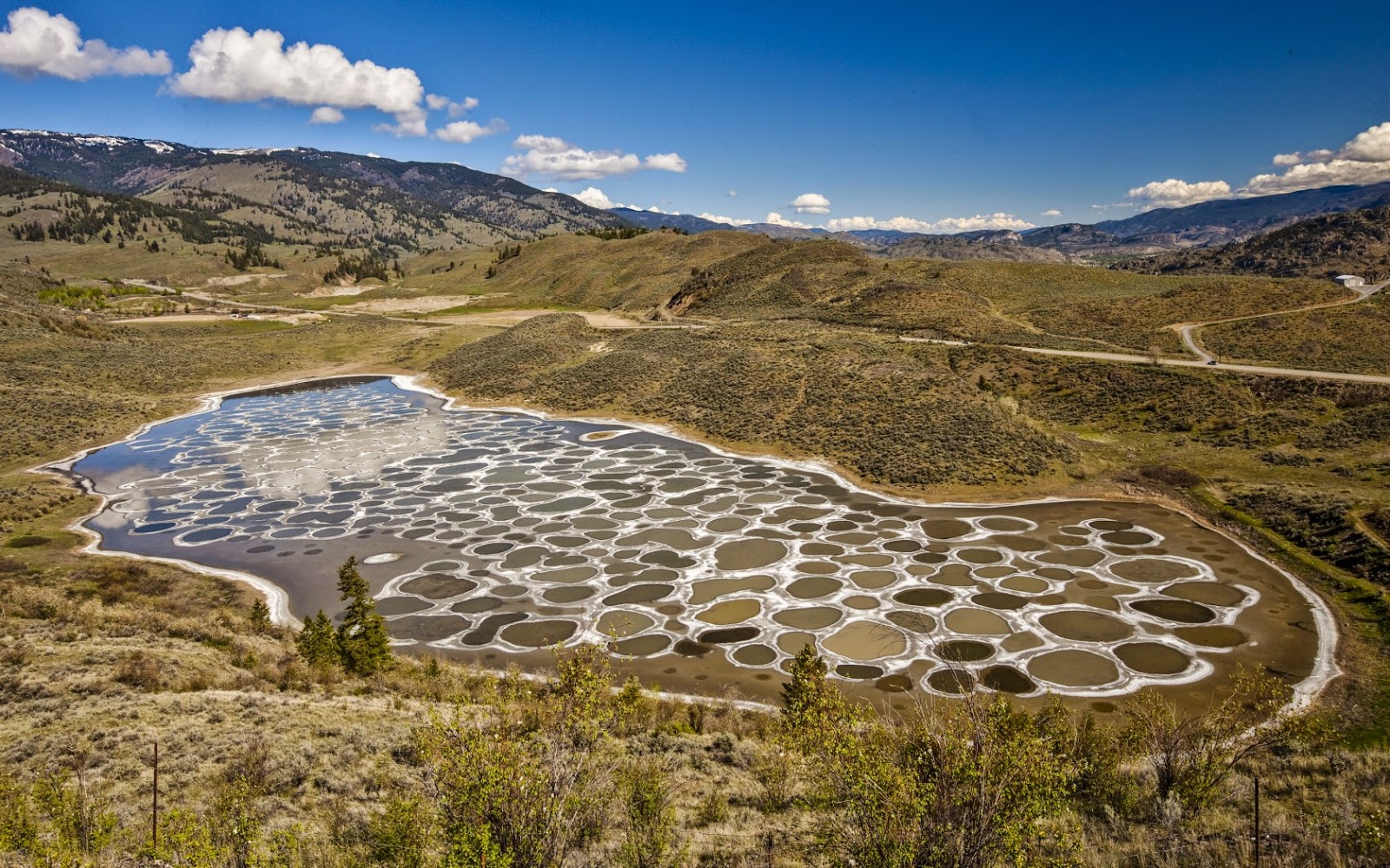 Spotted Lake in British Columbia, Canada HD Wallpapers