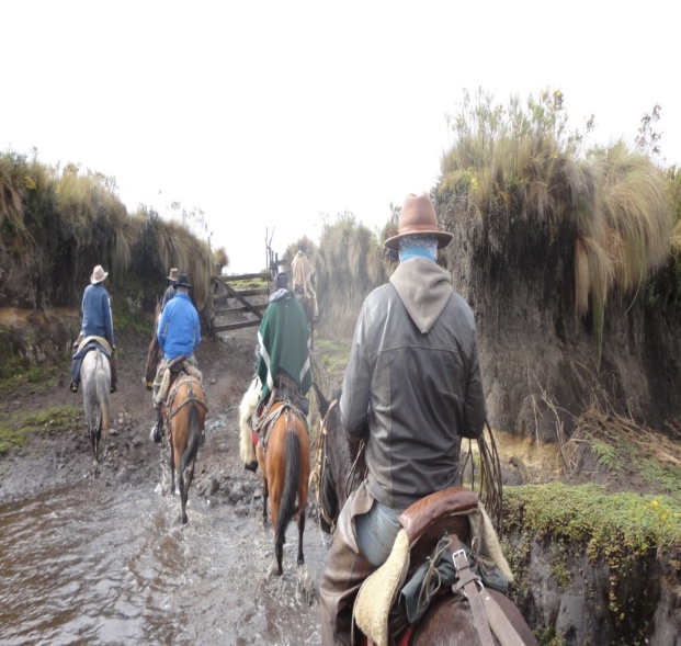 El Chagra Pedregaleño (Ecuador): CHAGRAS EJEMPLARES