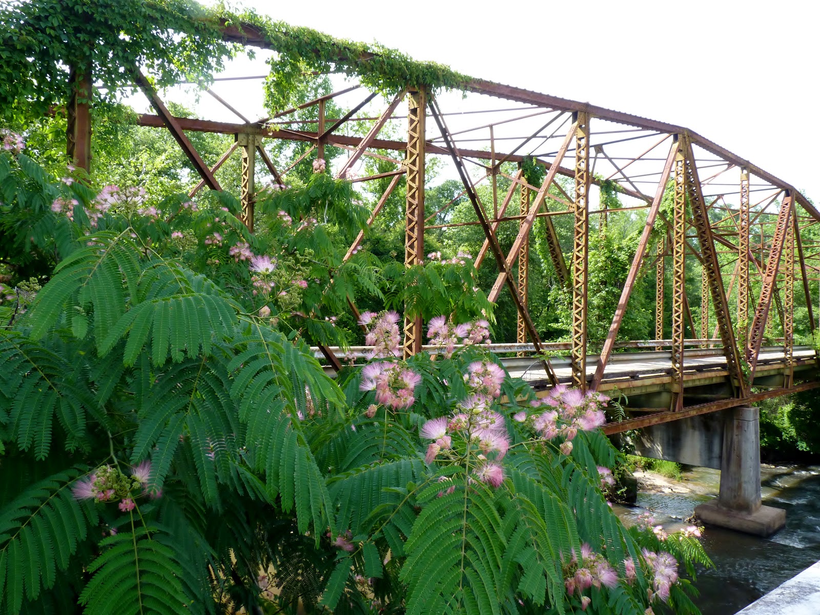 CRY BABY BRIDGE ANDERSON SOUTH CAROLINA