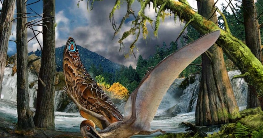 Species New to Science: [Paleontology • 2016] Pangupterus liui • A New ...
