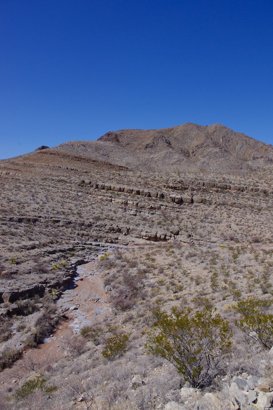 Southern New Mexico Explorer: Palomas Gap - Caballo Mountains