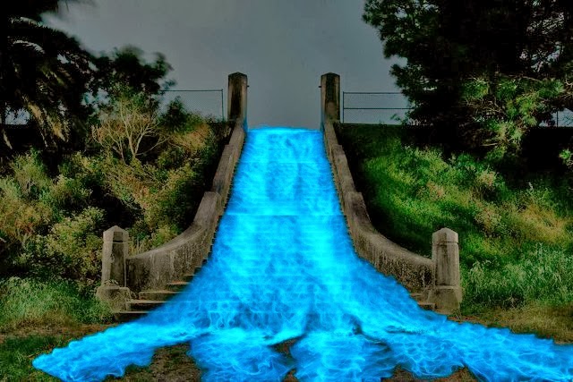 Photojournalism Now: Friday Round Up - The First for 2014