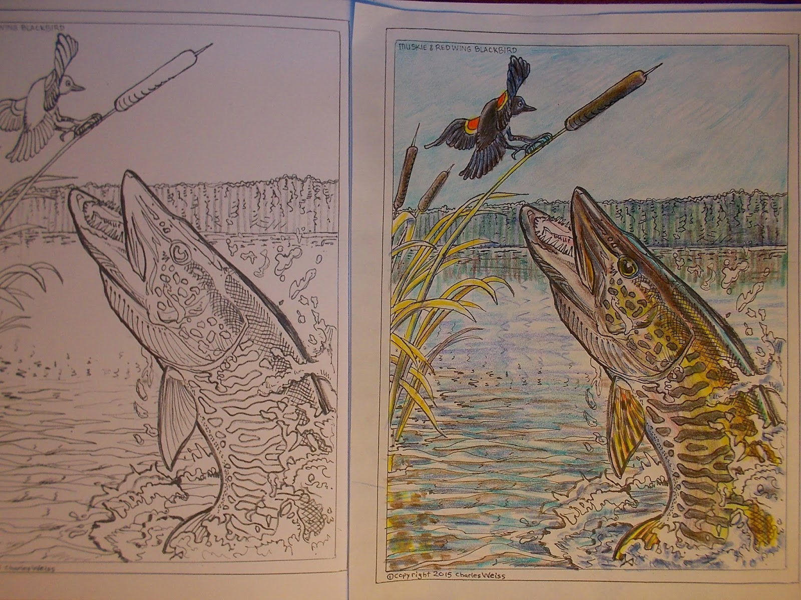 CHARLES WEISS ART: Charles WEISS Colouring book Water's Edge Wildlife ...