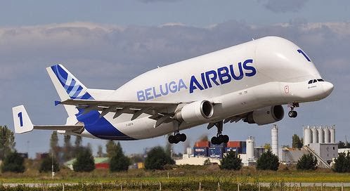 Global LEAD Consultancy (Logistics Excellence Academics & Development ...