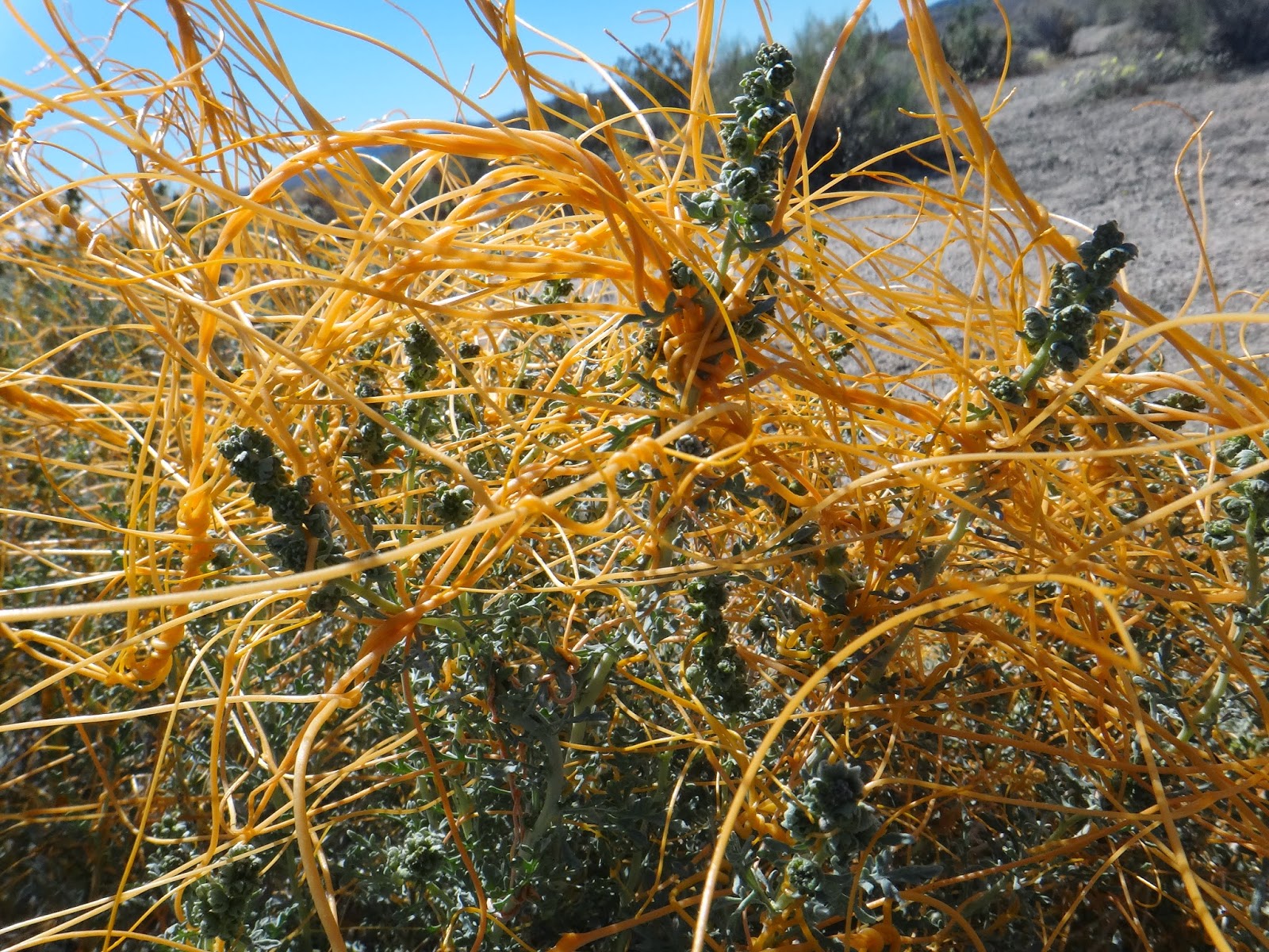 Miss B's Science Feed: March 2014