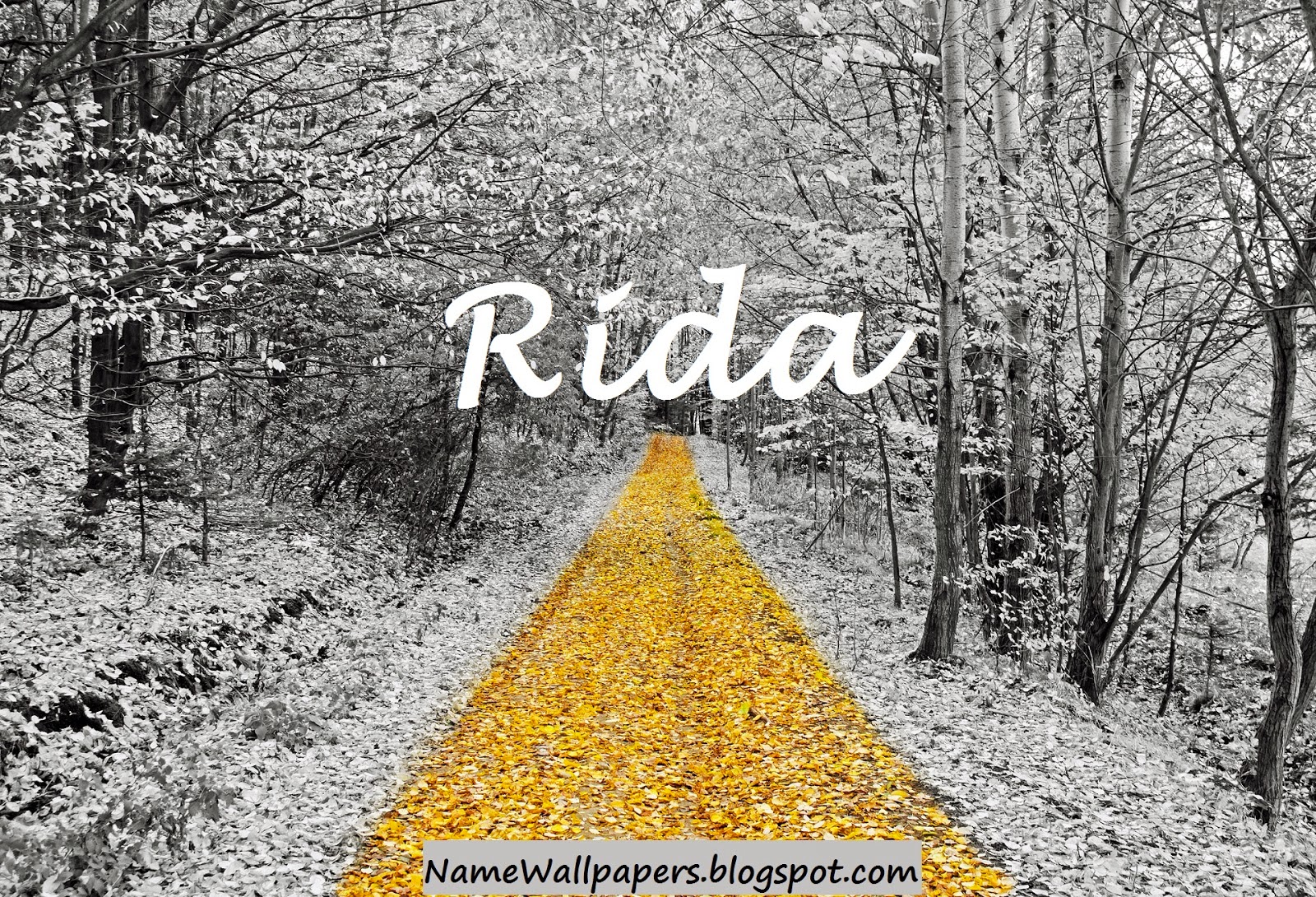 Rida Name Wallpapers Rida ~ Name Wallpaper Urdu Name Meaning Name ...