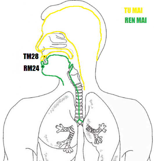 SHIN-TO - Médecine Traditionnelle Chinoise: Acerca de Ren Mai, Du Mai ...