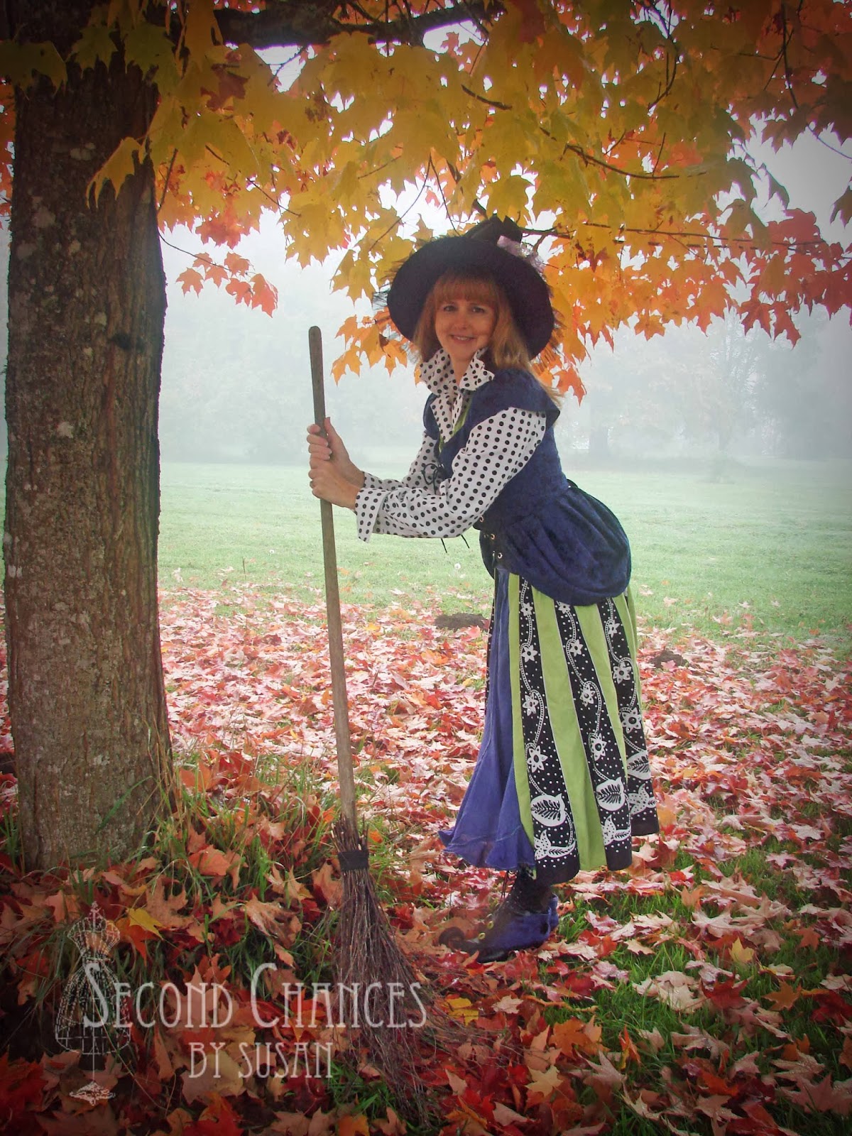 Second Chances by Susan: Bewitched!