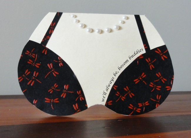 Snap Happy Birding: Some fun.. and uplifting, bra cards