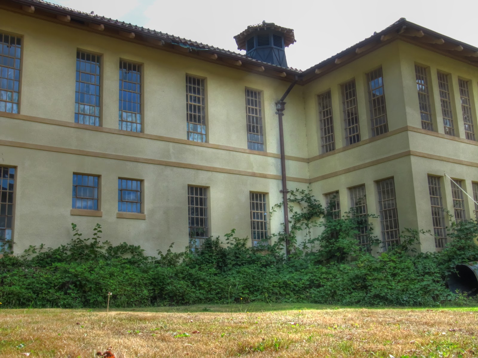 This Life in Ruins: Northern State Hospital Grounds