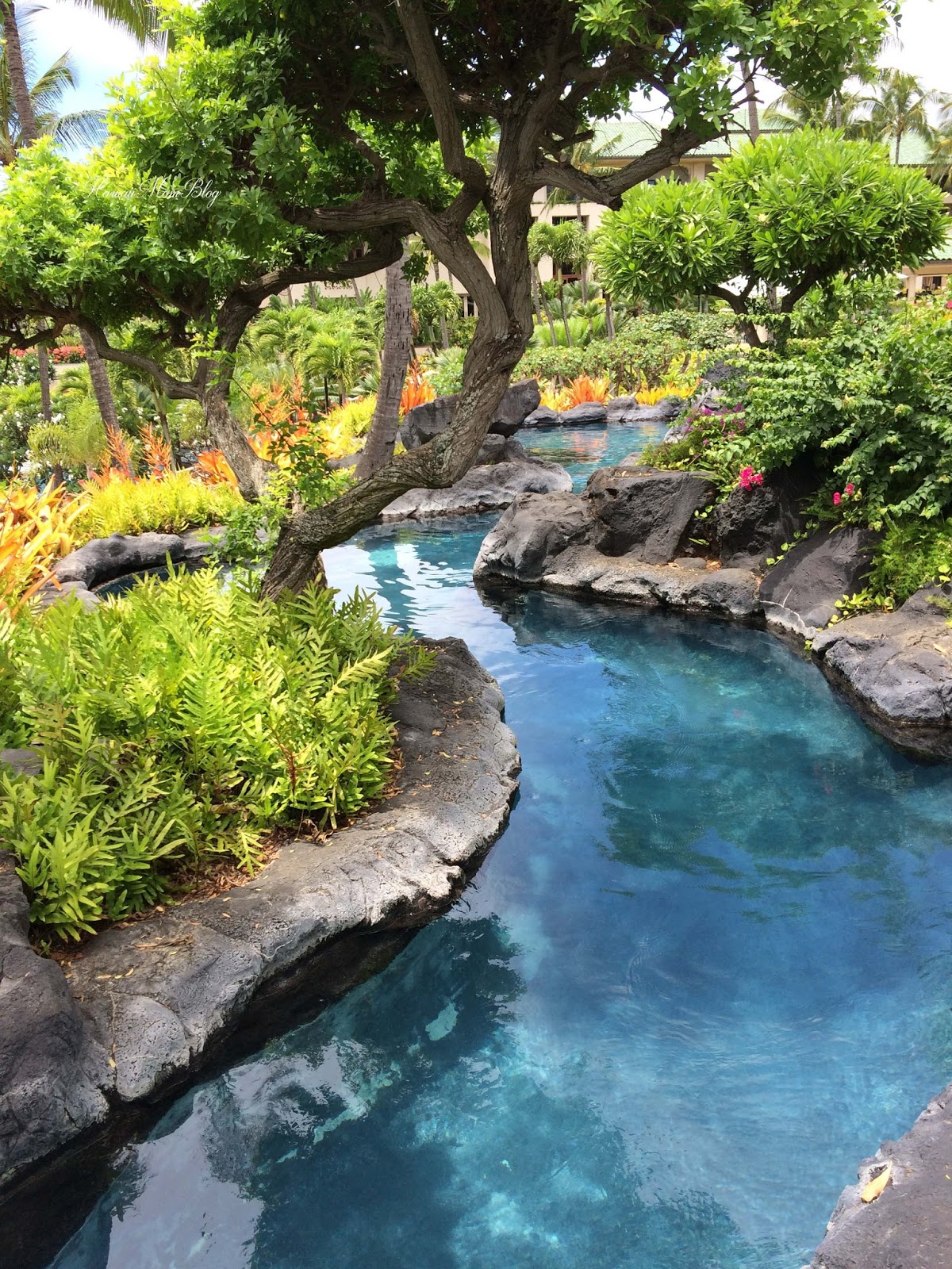 Hawaii Mom Blog: Visit Kauai: The Incredible Pools at the Grand Hyatt ...