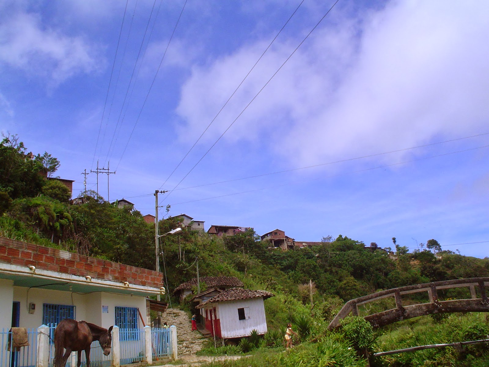 SANTA RITA DE ITUANGO ANTIOQUIA, COLOMBIA.(HOY SANTA RITA DE SINITAVÉ ...