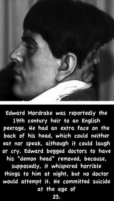 Kobokowalai...*the Gist temple*: The true tale of Edward Mordake " the ...