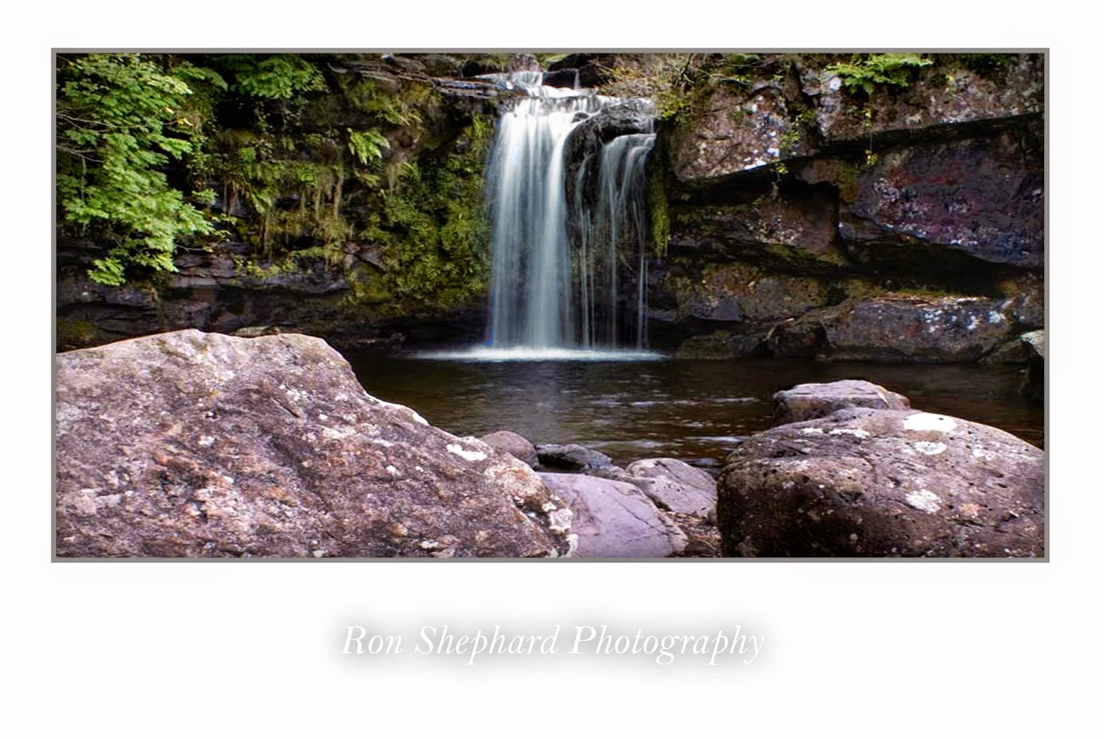 Campsie Photographs: October 2014