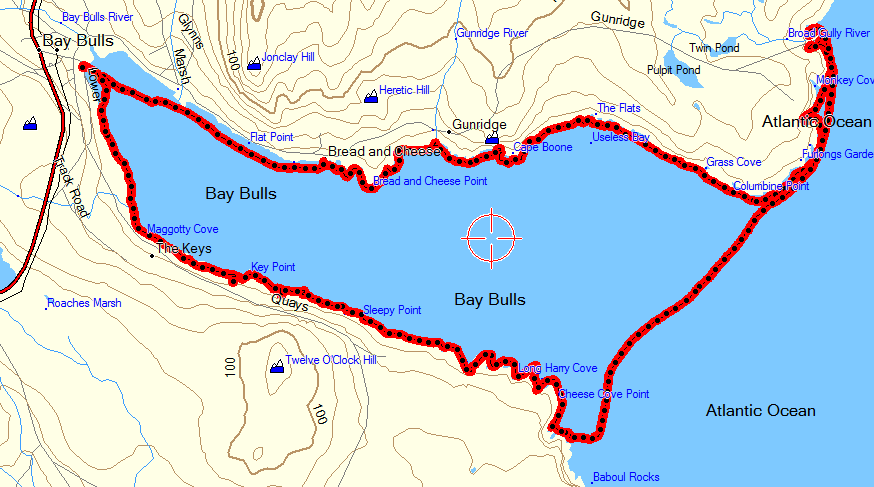 Saltwater Haven: Bay Bulls - February 2014