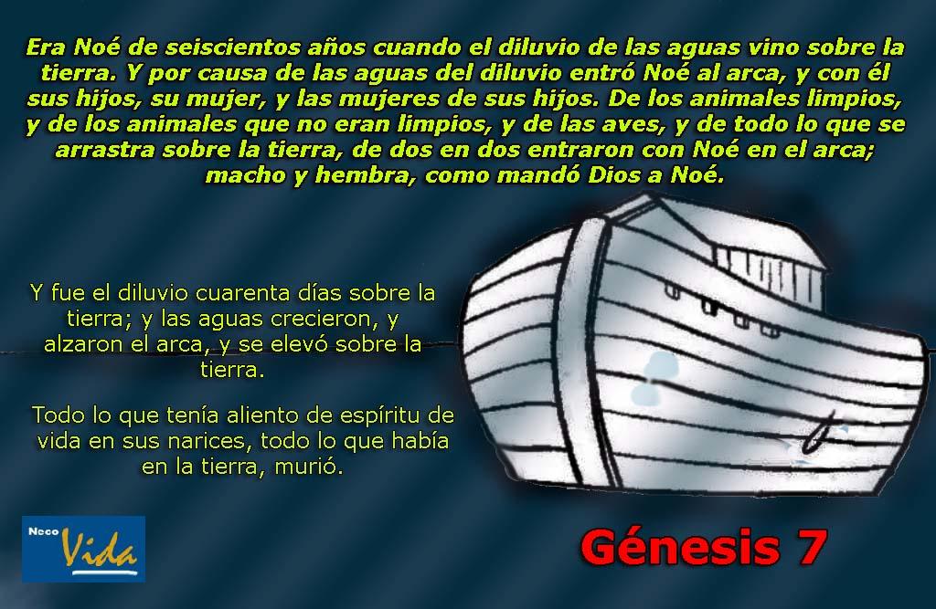 Neco Vida: Leyendo... Génesis capítulo 7