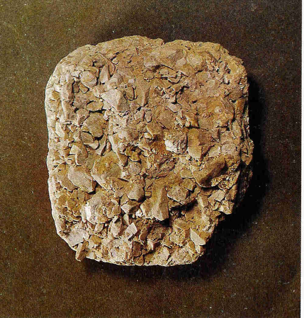 A la palestra : ROCA SEDIMENTARIA DETRÍTICA - BRECHA