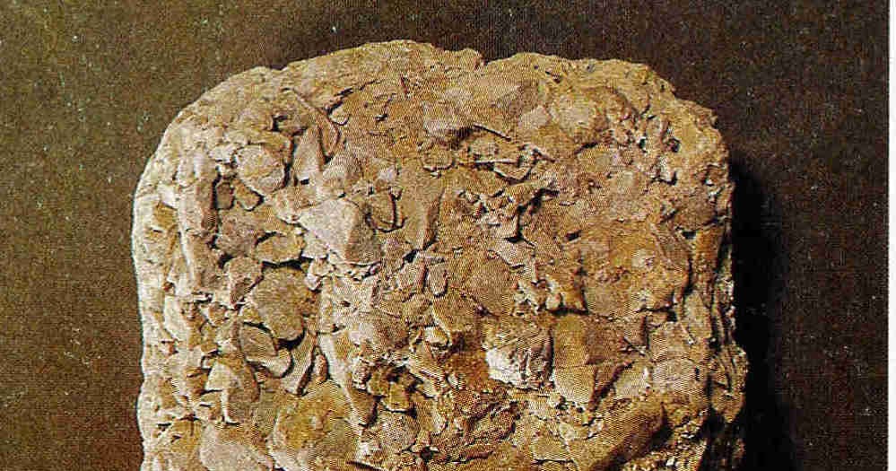 A la palestra : ROCA SEDIMENTARIA DETRÍTICA - BRECHA