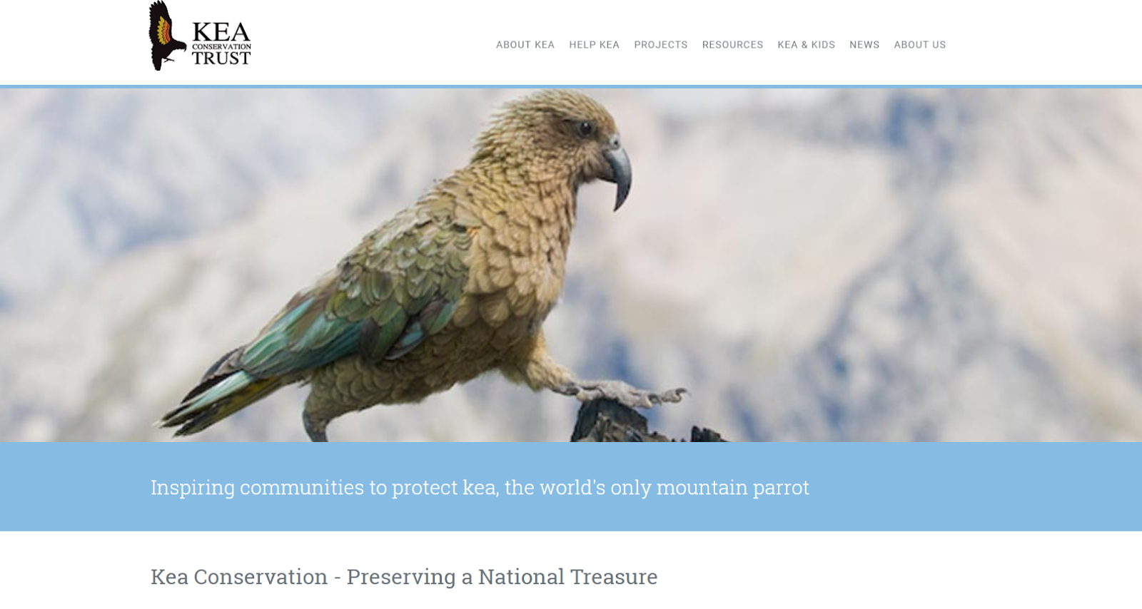 Arthurs Pass Adventures: Tramping in Arthurs Pass National Park: The Kea of Arthurs Pass ...