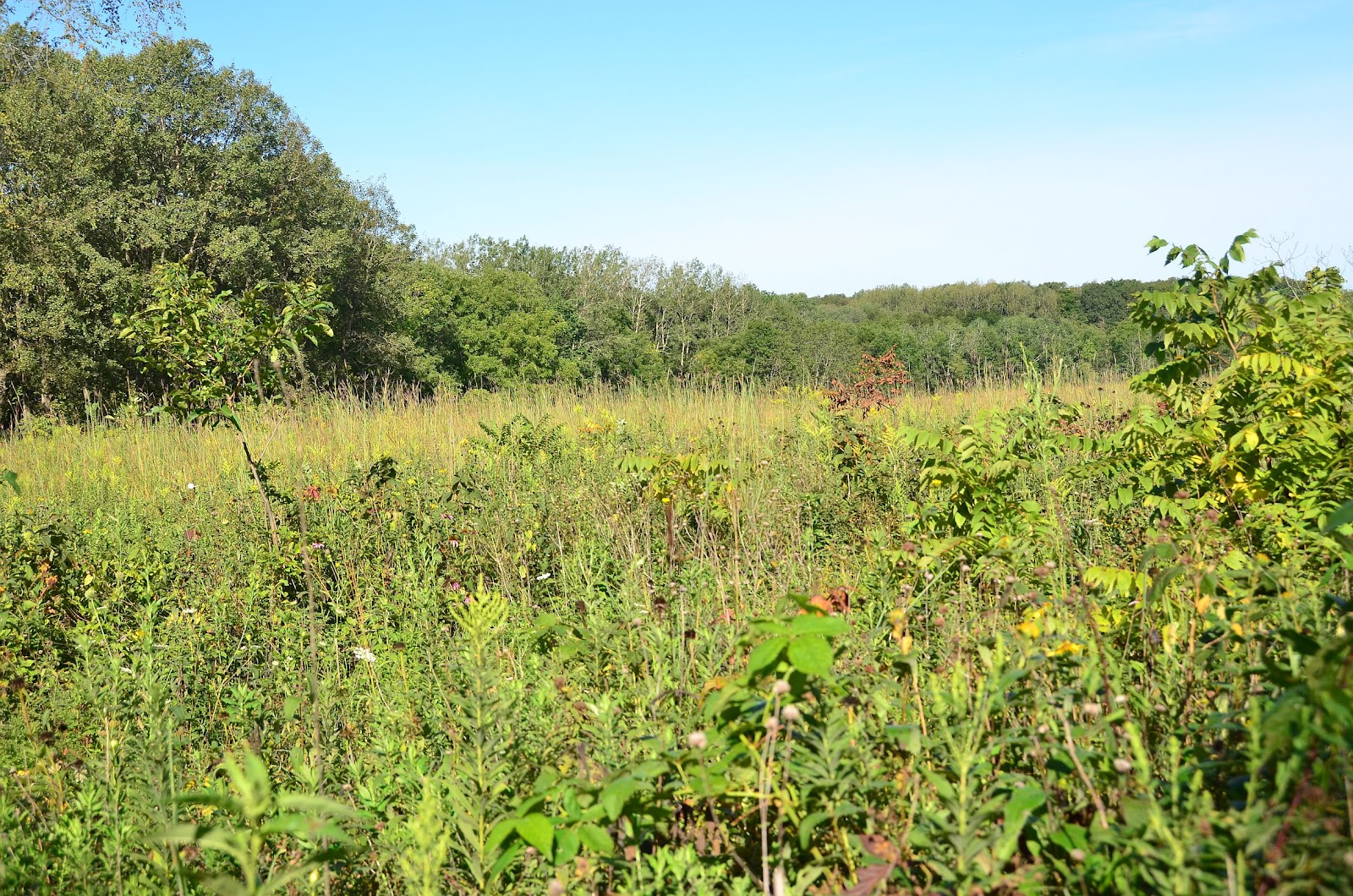 Adventure with the Crippled Coot's: August 2012