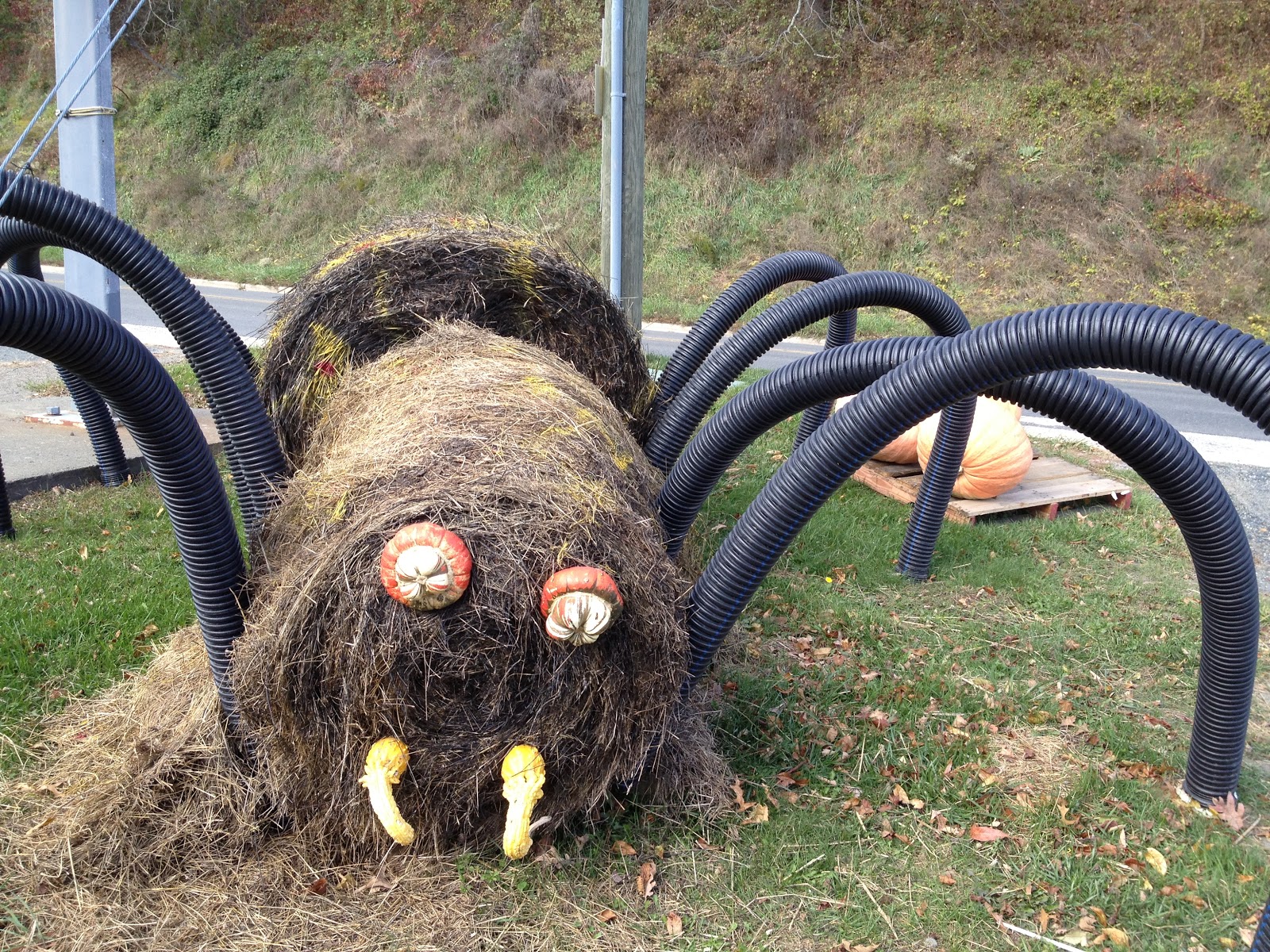 All Things Quilty and Artsy: Beautiful Autumn Weekend