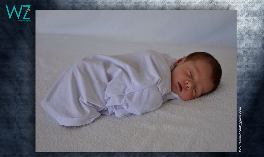 Zélia Dicas e Idéias: Book de bebe recém nascido....Uma foto mais linda ...