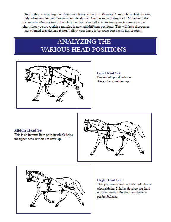 Fabri-Tech Inc - Everything But the Saddle! : Balanced Training System