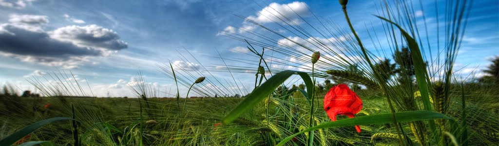 FREE WEB HEADERS: 20+ AMAZING NATURE HD WEB HEADER COLLECTION 1