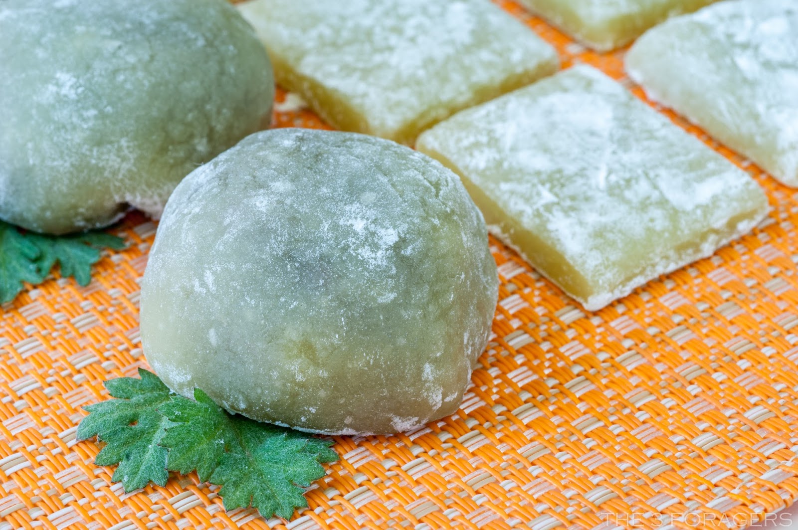 The 3 Foragers: Foraging for Wild, Natural, Organic Food: Mugwort ...