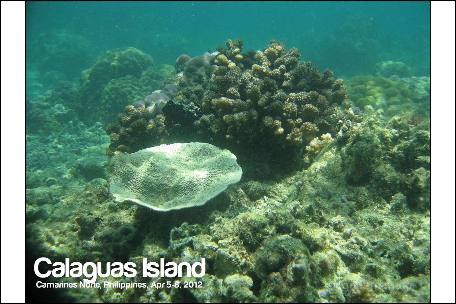 pusang maganda: calaguas island: truly a virgin island