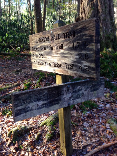 900 miles: Maddron Bald and Albright Grove Loop Trails