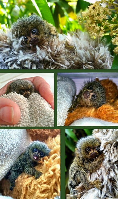 Love My Art Jewelry: Fibers Galore! By Karen McGovern