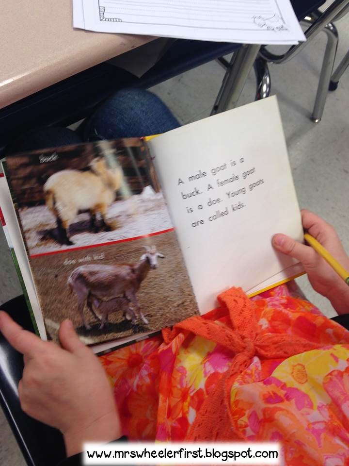 Mrs. Wheeler's First Grade Tidbits: Farms