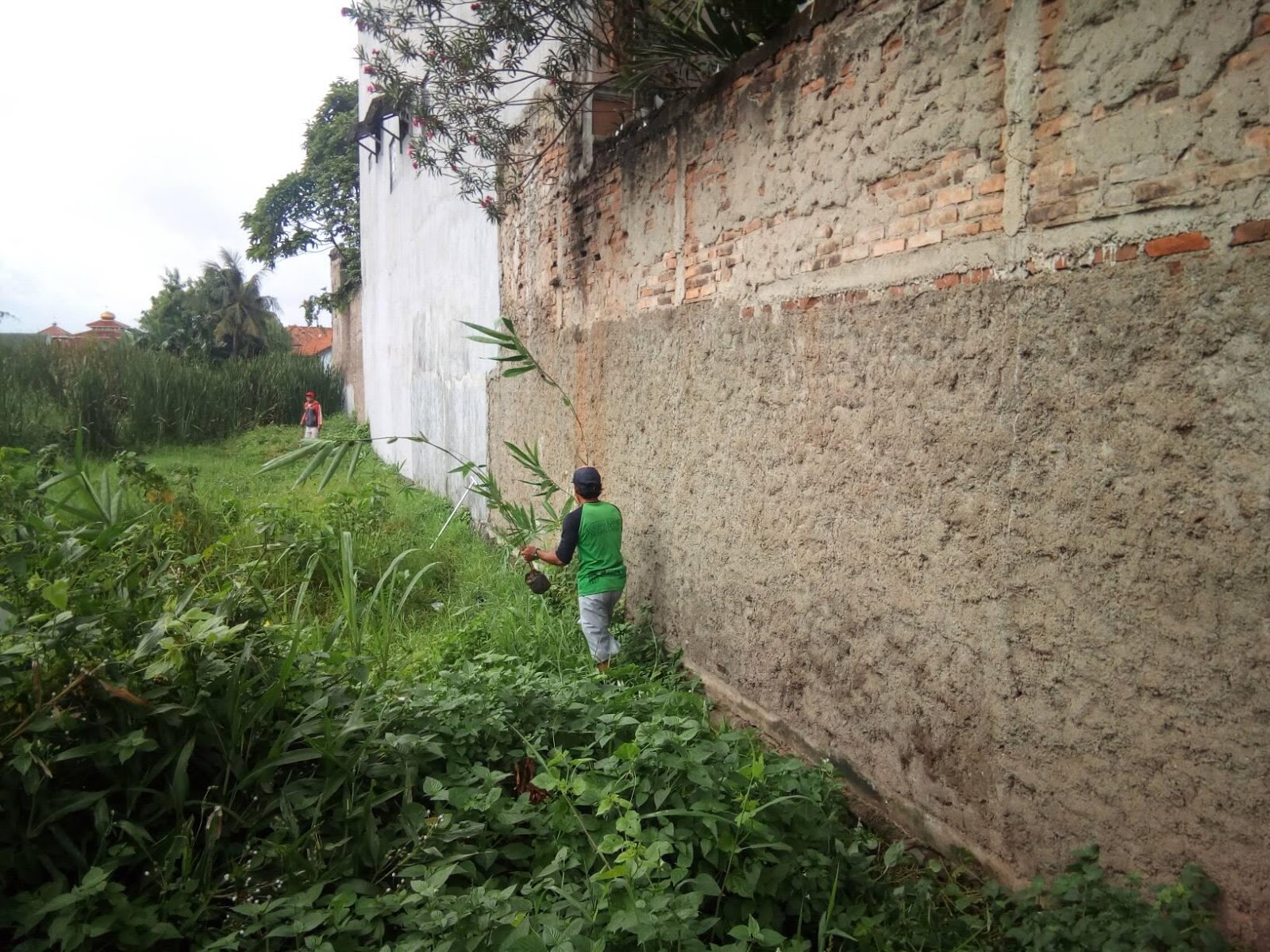 Revolusi Sebatang Bambu : Edisi Membentuk Generasi Emas Hijau dan ...