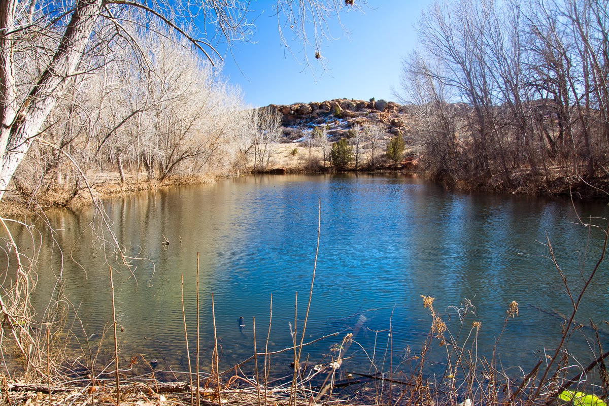 A Tree Falling: Two Buttes Reservoir State Wildlife Area